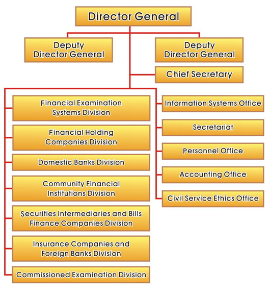 Cfo Organization Chart